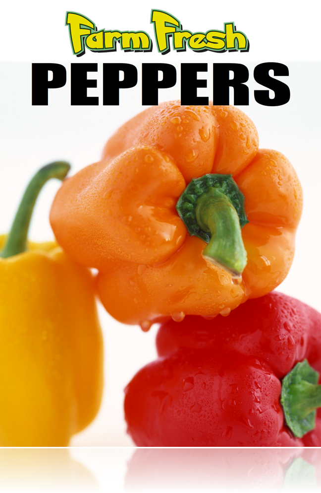 Farm Fresh Peppers Hanging Sign Ceiling Dangler 22" W x 28" L ...
