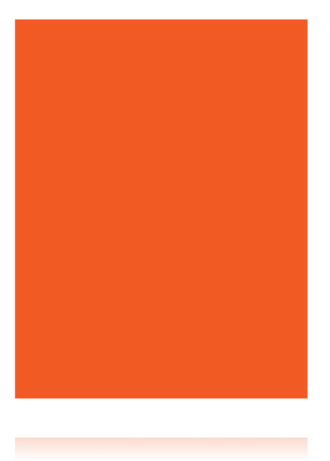 Orange Fluorescent 1 UP Laser Compatible Shelf Signs-100 signs ...