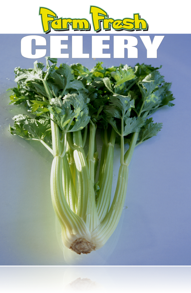 Farm Fresh Produce Celery Window Sign Poster-36"W x 48"H — screengemsinc