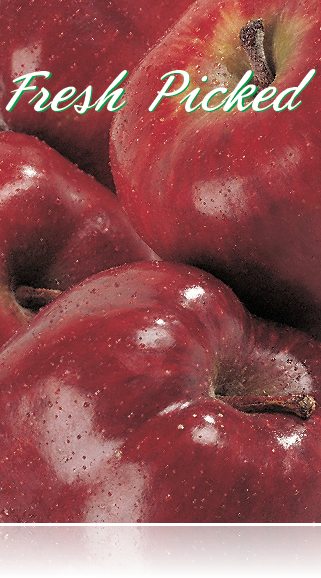 Produce-Fresh Picked Apples Window Poster Wall Sign -36"W x 48"H ...