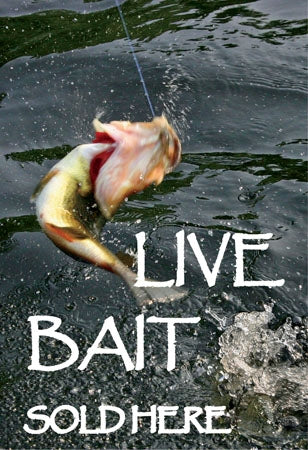 Live Bait Sold Here Window Signs Poster-11"W x 17"H — screengemsinc