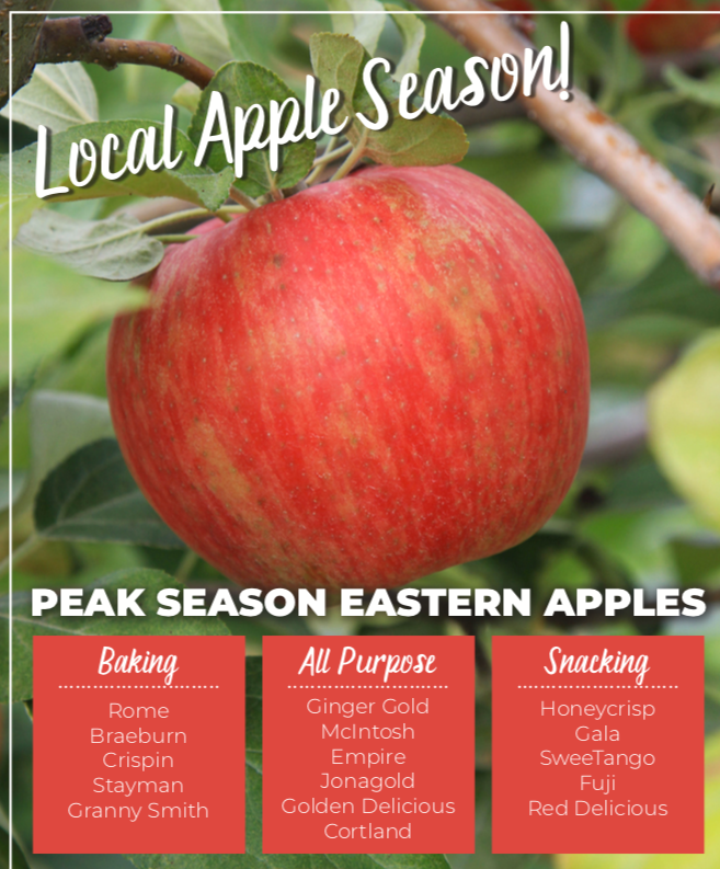 Local Apples Produce Floor Stand Stanchion Sign-22"W x 28"H — screengemsinc